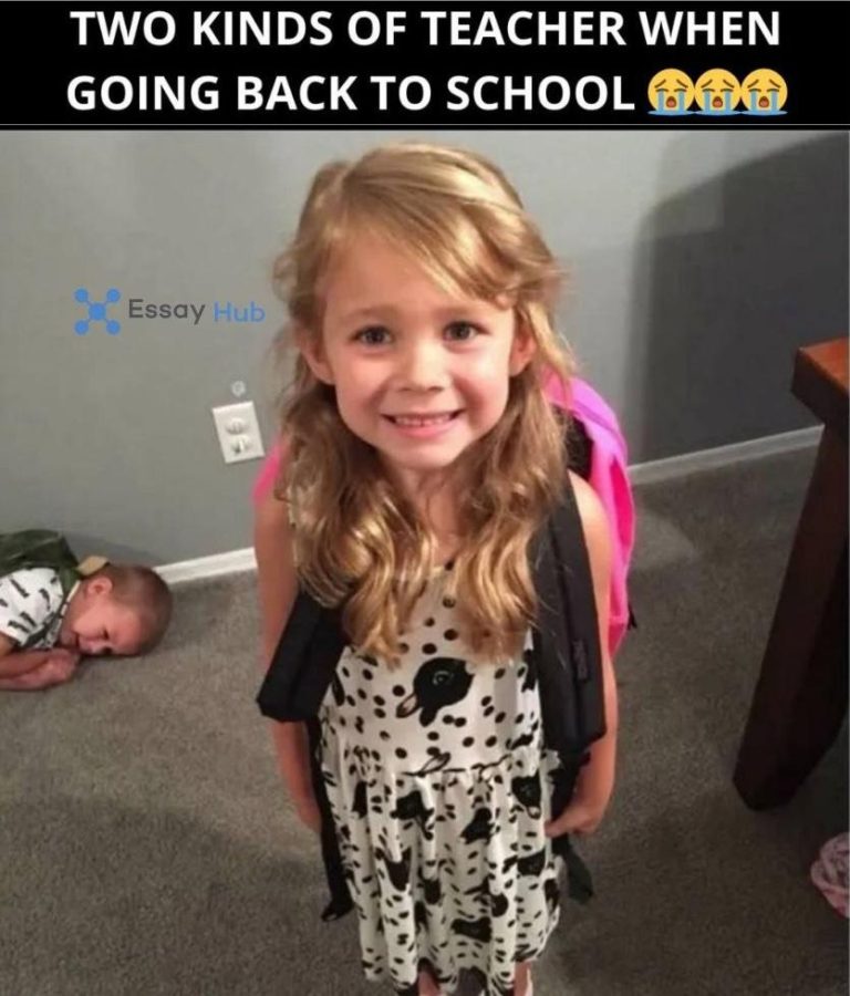 Teacher Memes: The Funniest Jokes Every Educator Will Relate To